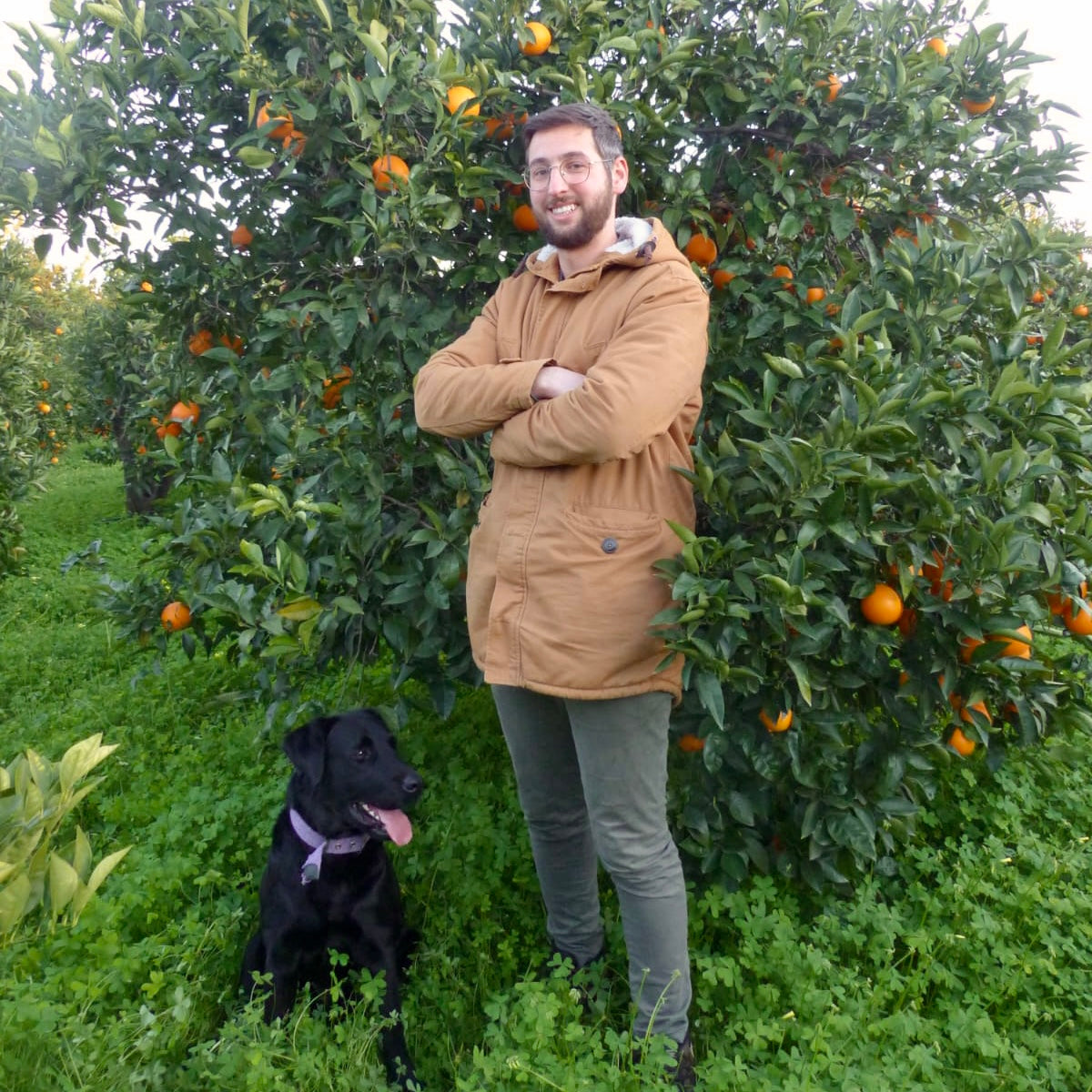 Meet The Producer - Laudani Citrus – Macknade