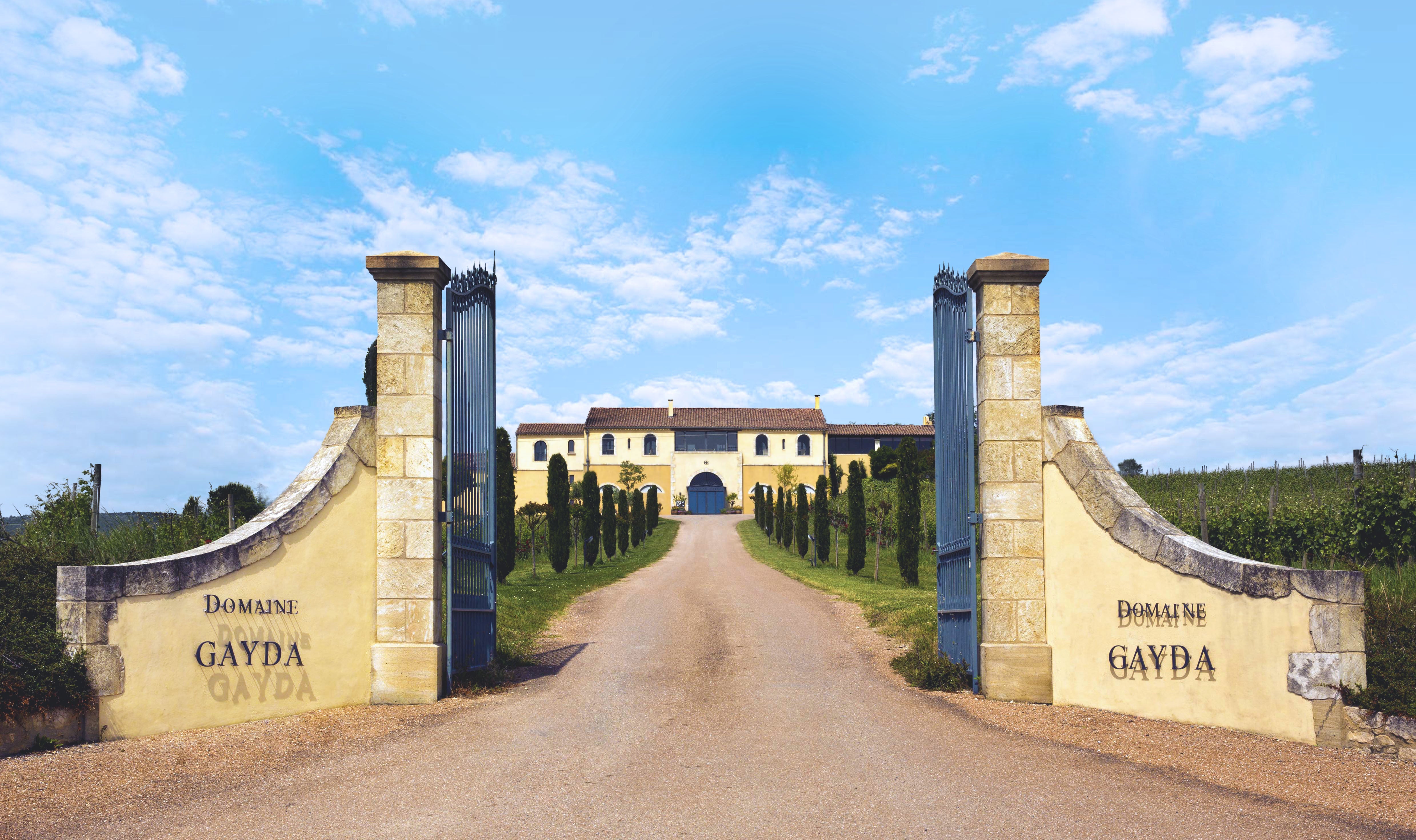 Meet The Producer - Domaine Gayda – Macknade